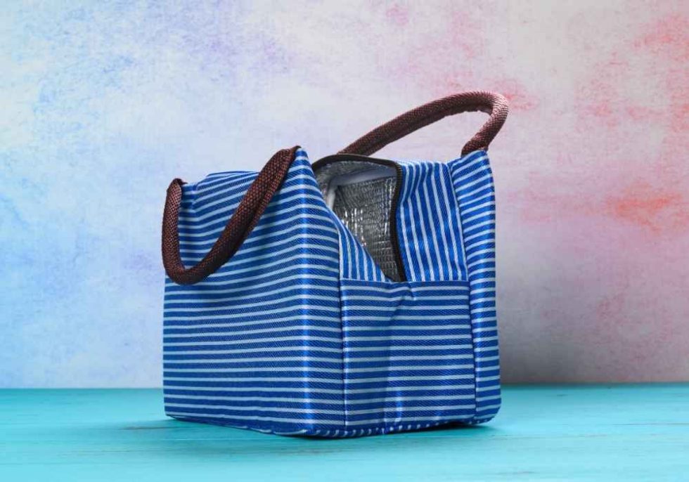 How to Sew an Insulated Lunch Bag 2025